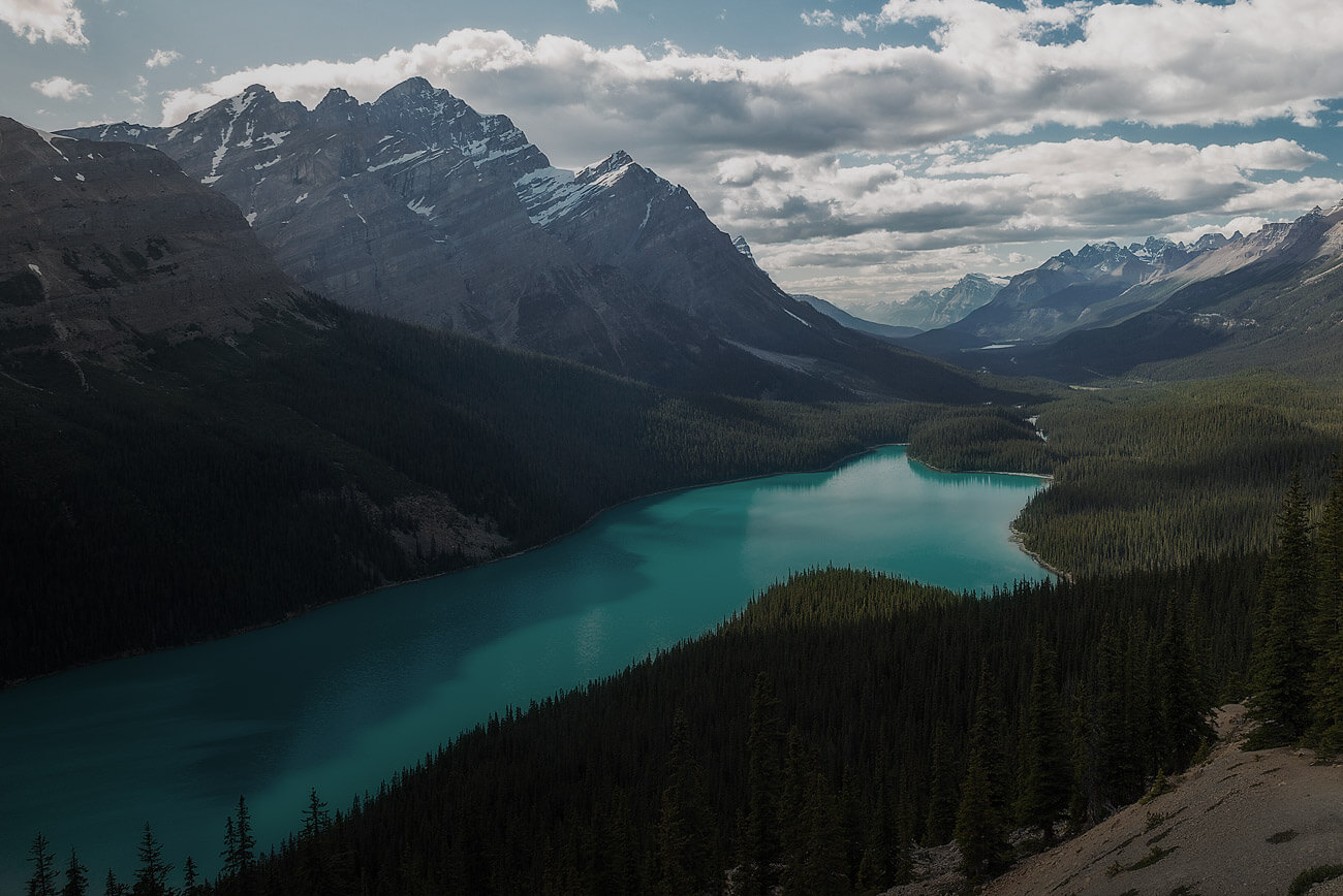 Alberta EMR Software | Accuro EMR