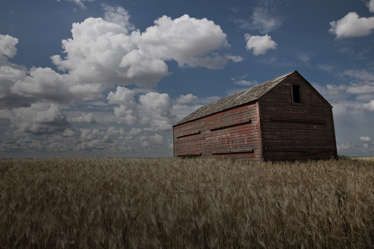 Saskatchewan EMR Software | Accuro EMR